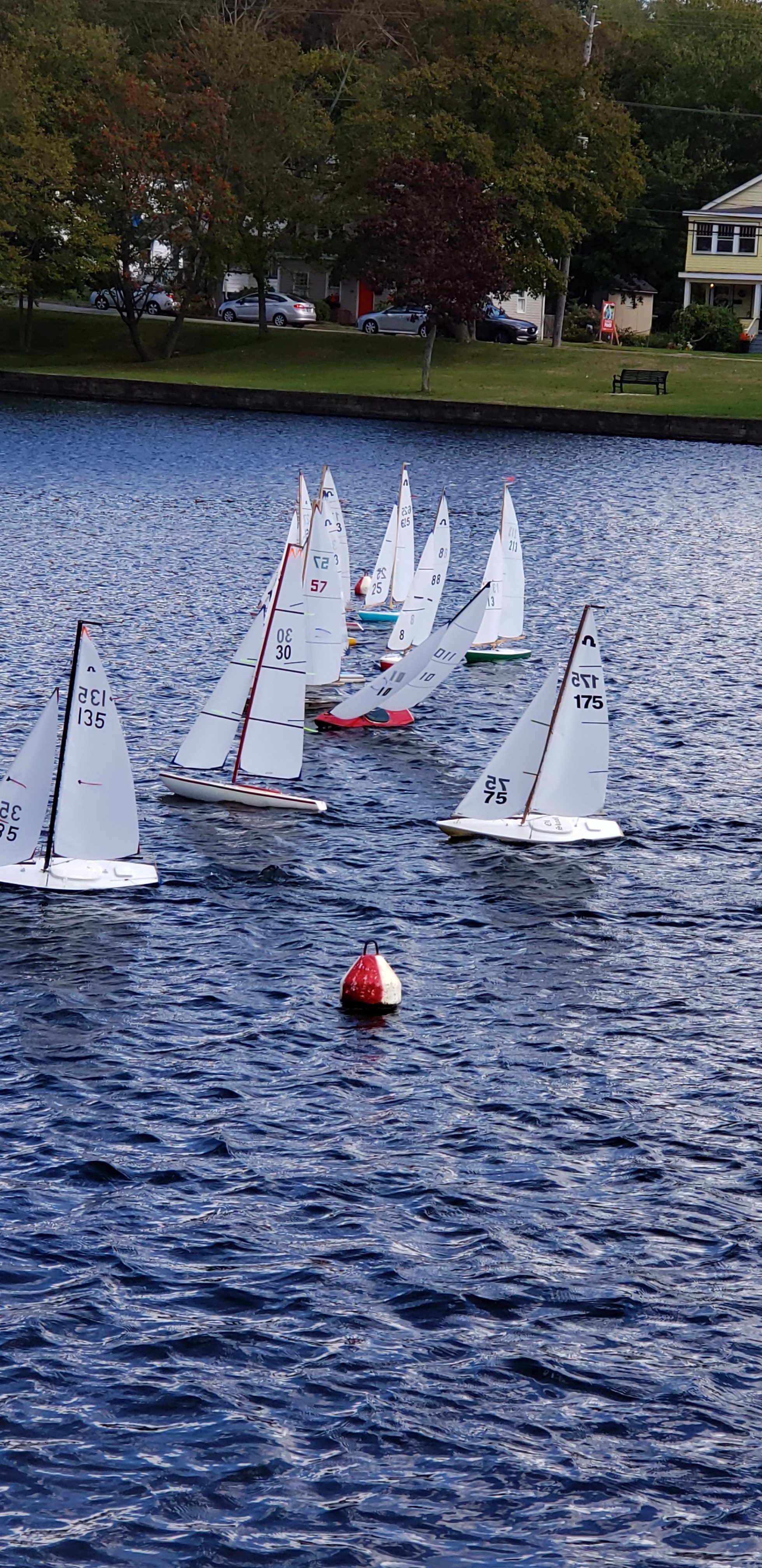 Halifax Area Model Yacht Club